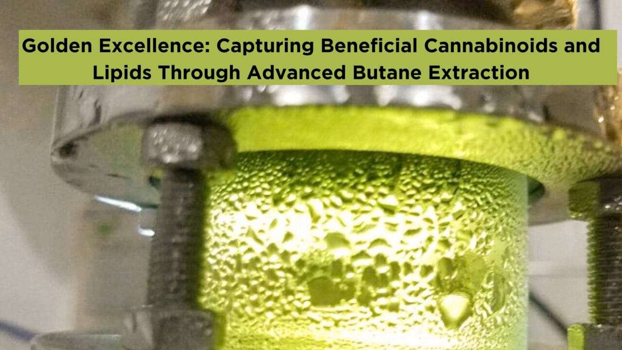 BHO vs CO2 Extraction: Why BHO Reigns Superior