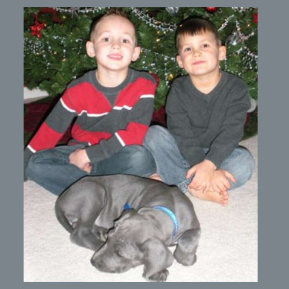 Roots of Wellness: Discover our our Story